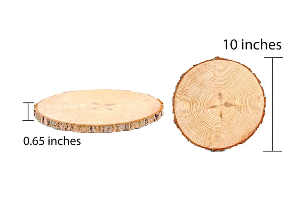 10-inch wood slice - Rustic Wood Slices