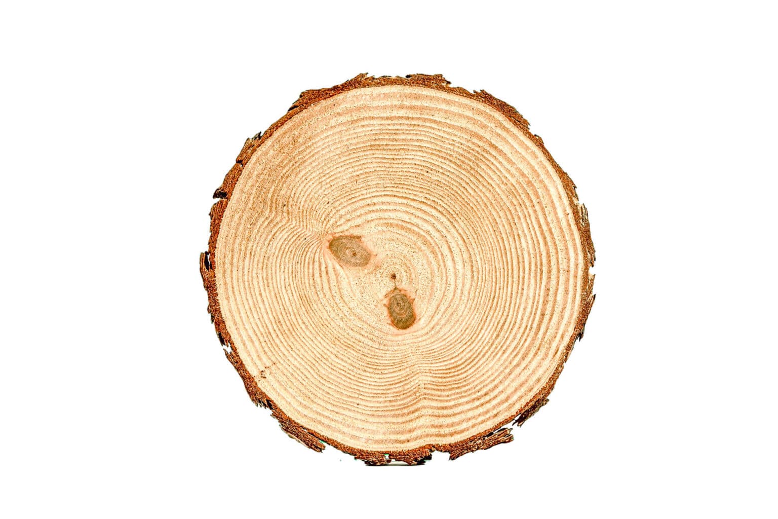 Home - Rustic Wood Slices